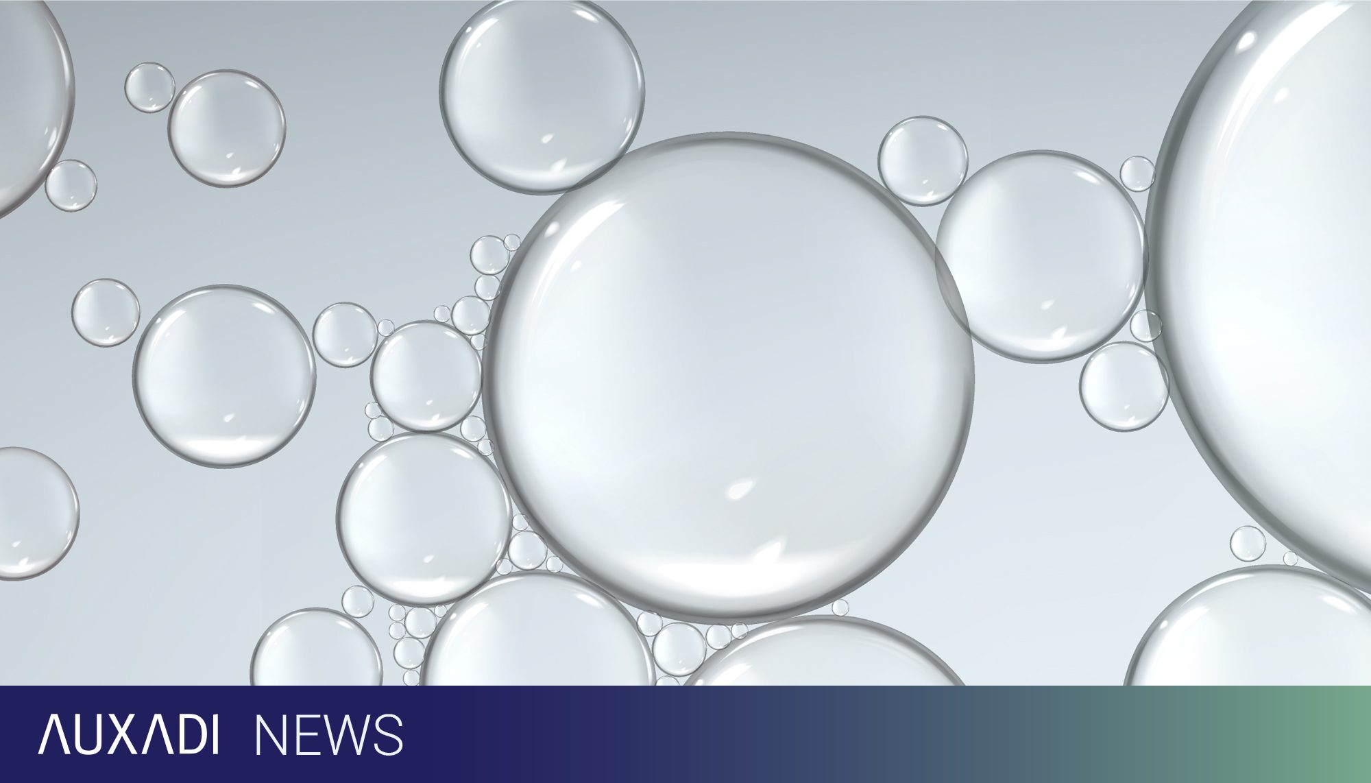 What is an SPV (Special Purpose Vehicle)? - Auxadi